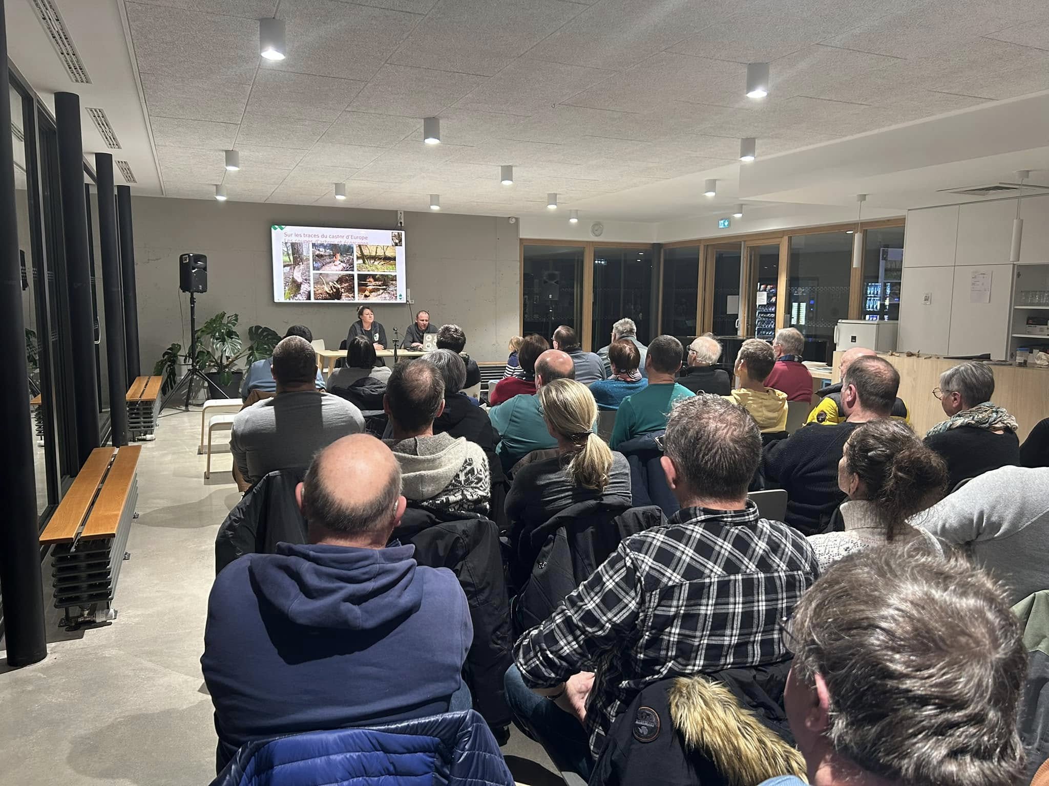 Return of the beaver to the Zinsel du Nord: An inspiring film evening ...